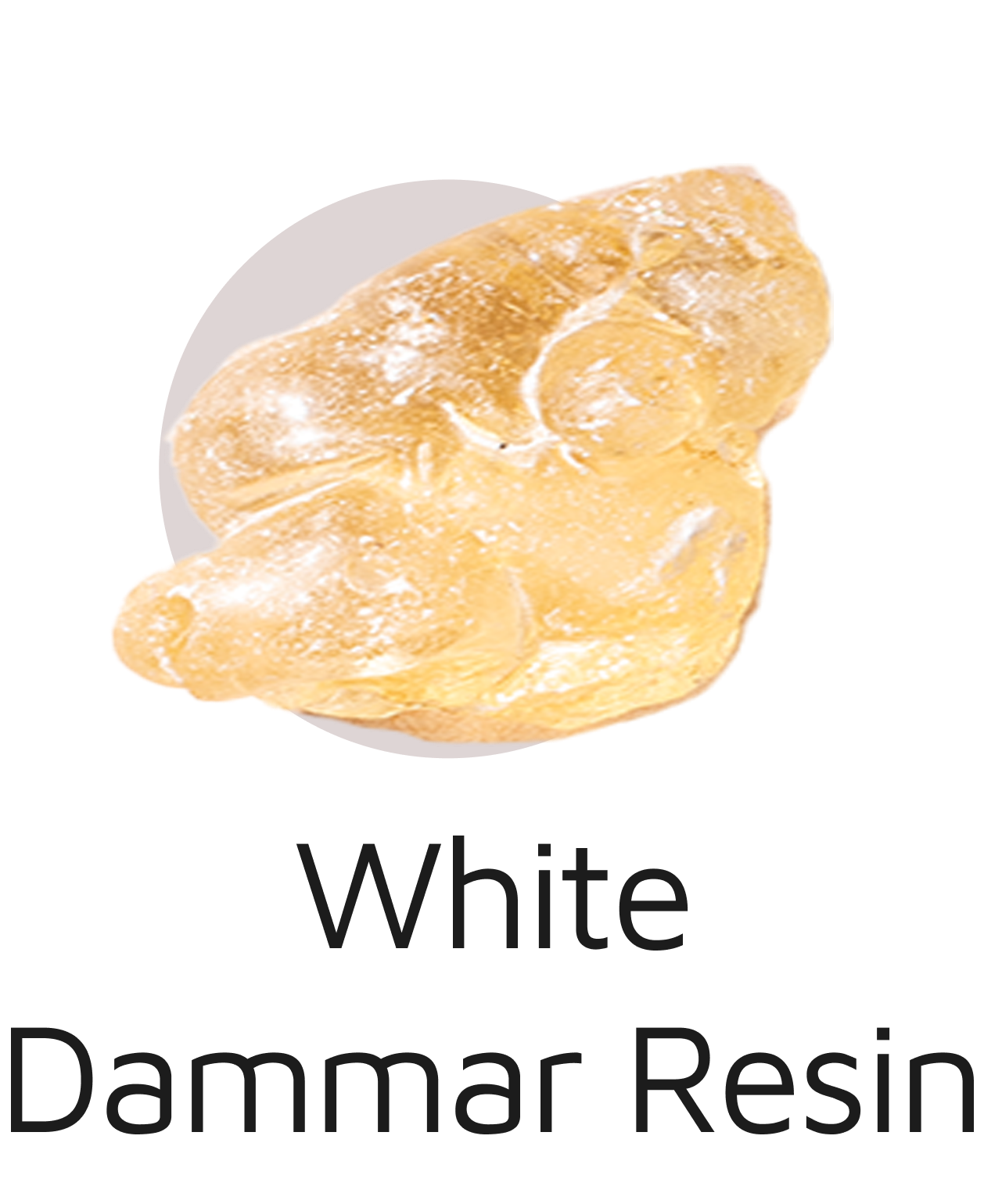 100% Natural Hair Regrowth Serum - No Sulphates. No Parabens. No Silic ...